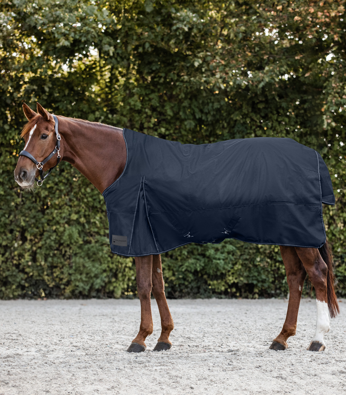 NORDIC Turnout Rug, High Neck, Light | night blue | 125 cm | 8034105-125