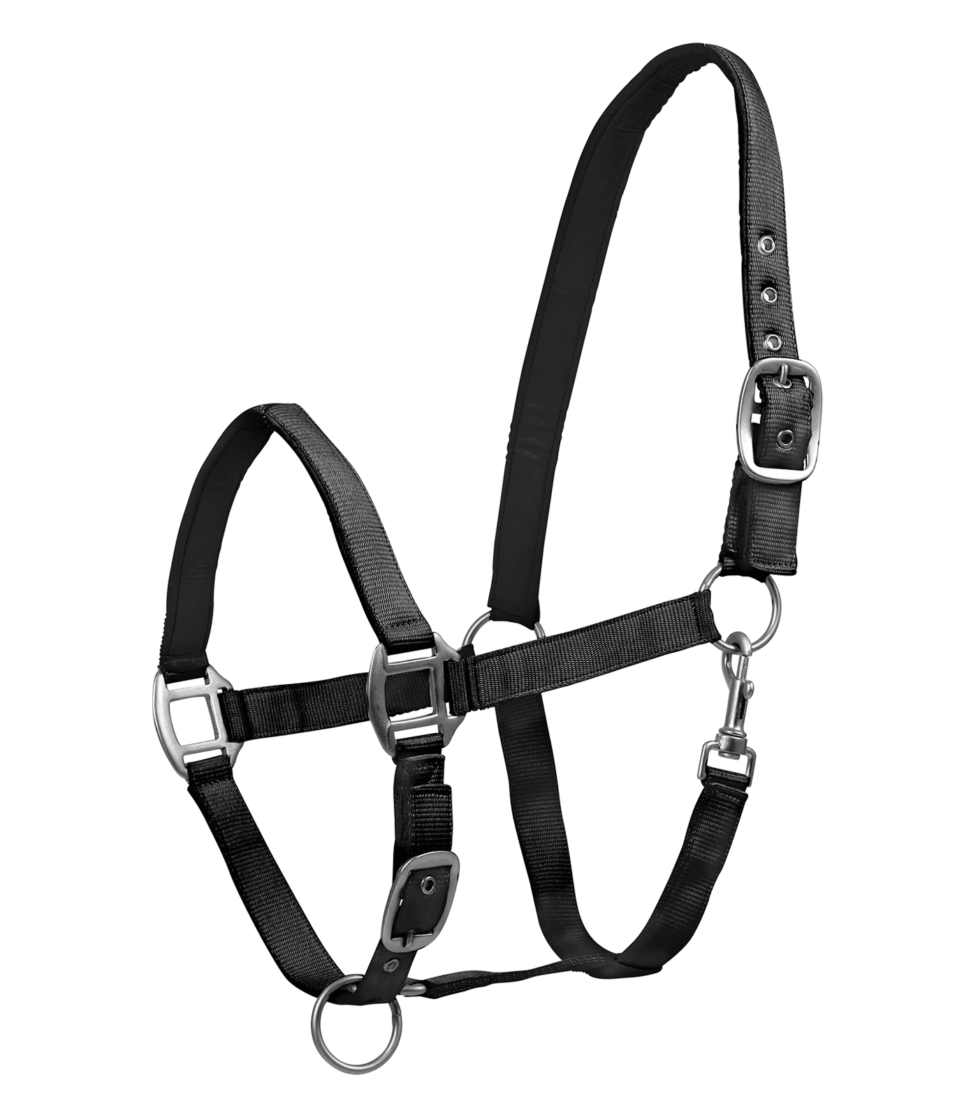 Halters, Ropes, Tie Ropes | get information online