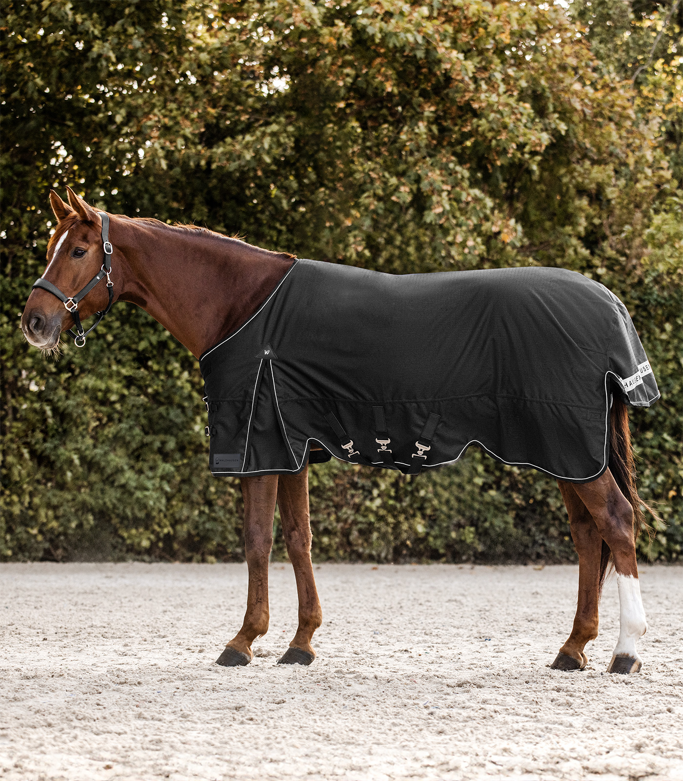 SCANDIC Turnout Rug, 100 g | black | 145 cm | 8021901-145