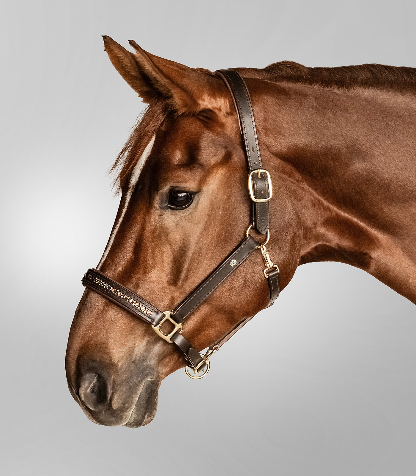 Waldhausen X-Line leather halter Crystal | brown/gold | Cob | 9580930-VB