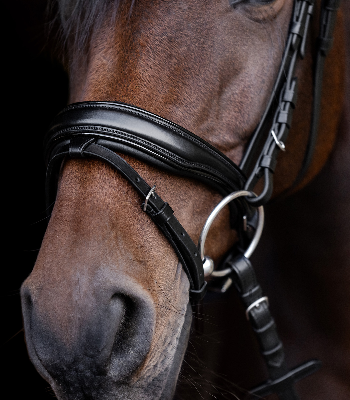Waldhausen S-Line Patent Bridle Blackshine | black | Cob | 9809101-VB