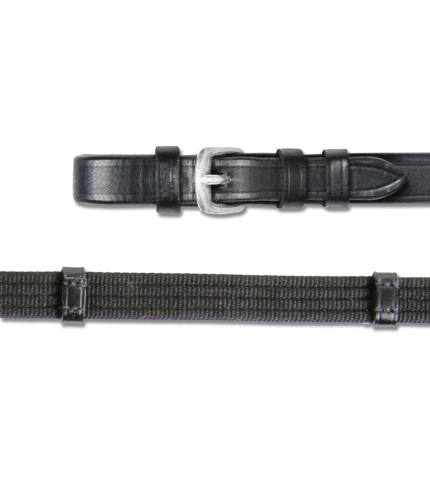 Reins get information online | Waldhausen