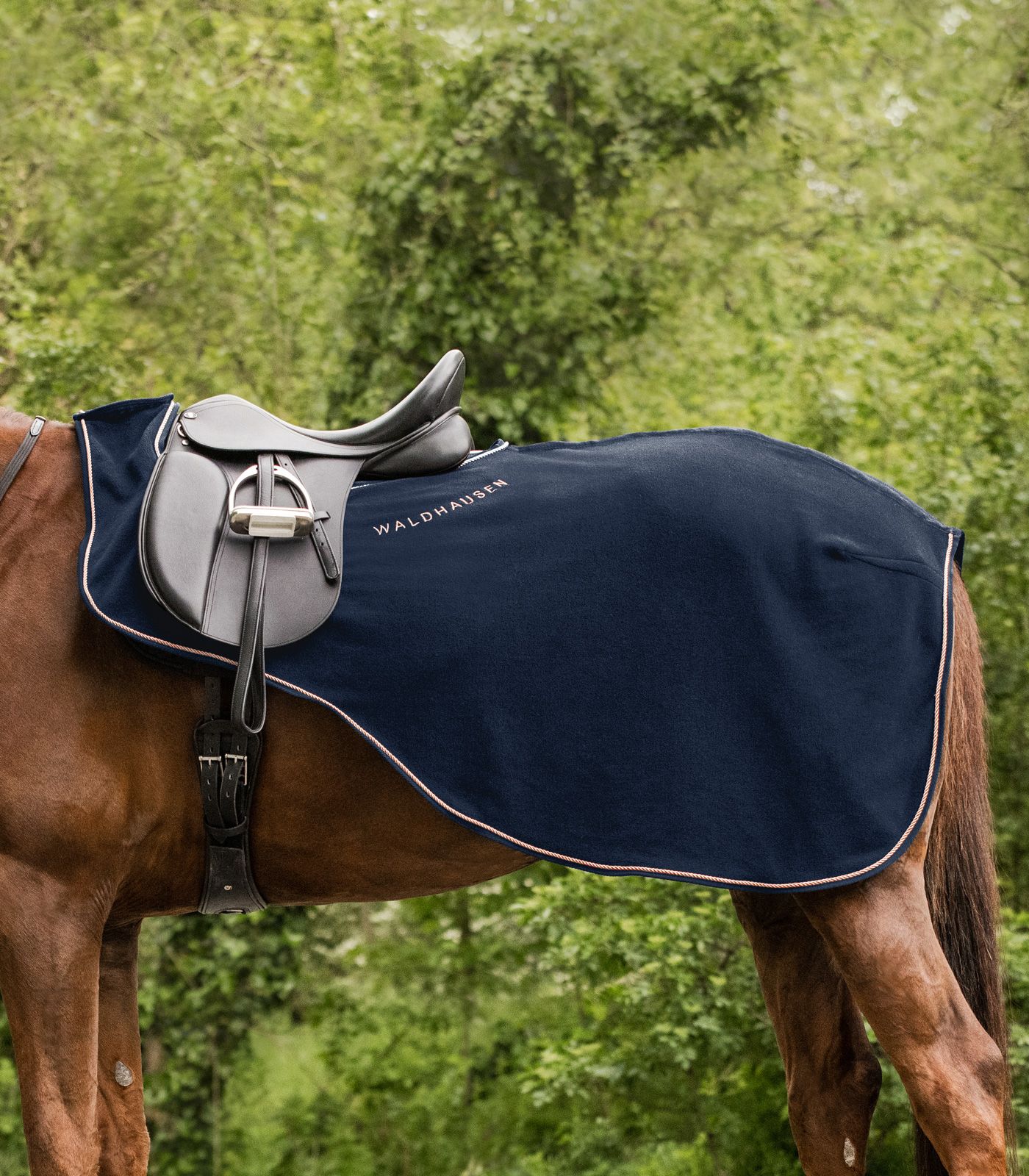 Modern Rosé Exercise Sheet | black/rosegold old | Cob | 61798101-VB