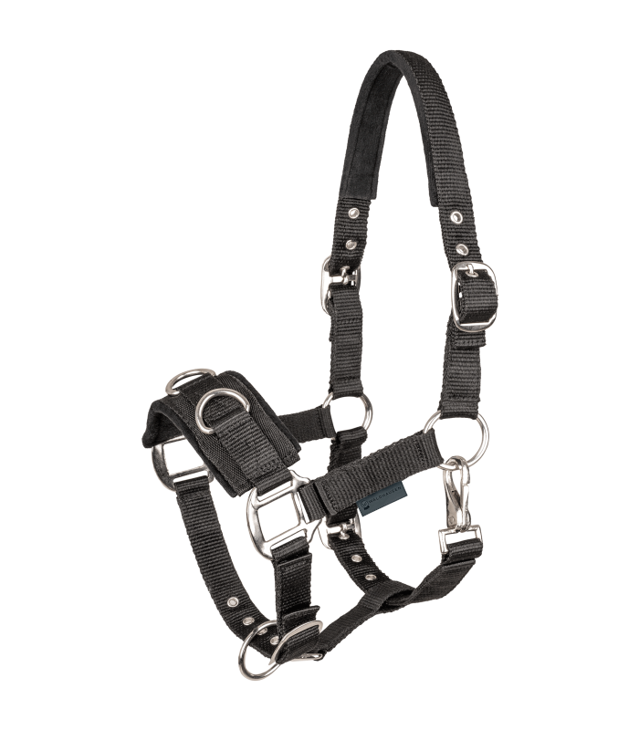 Economic lunging halter | fir green | PON | 809464-PON