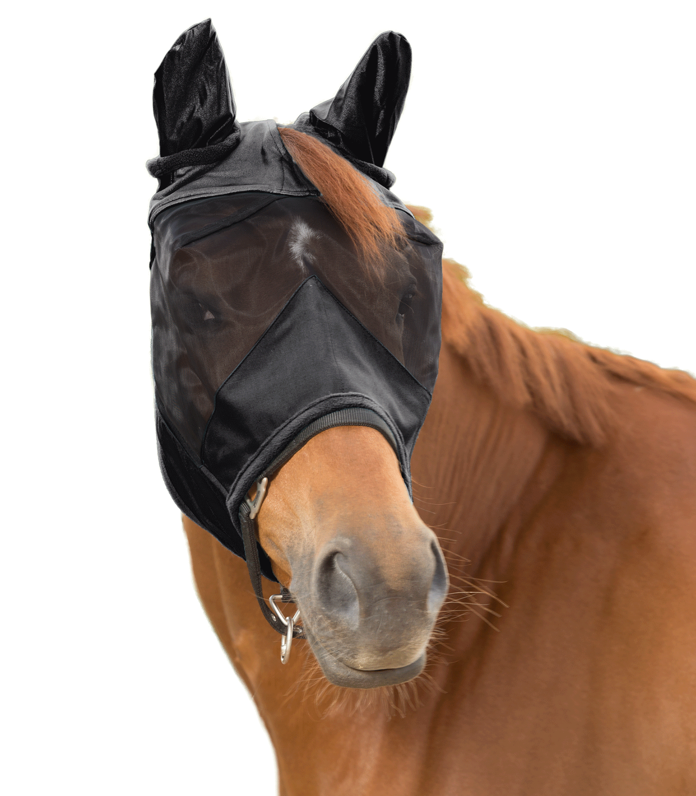 PREMIUM 3-in-1 Fly mask | black | PON | 6319101-PON