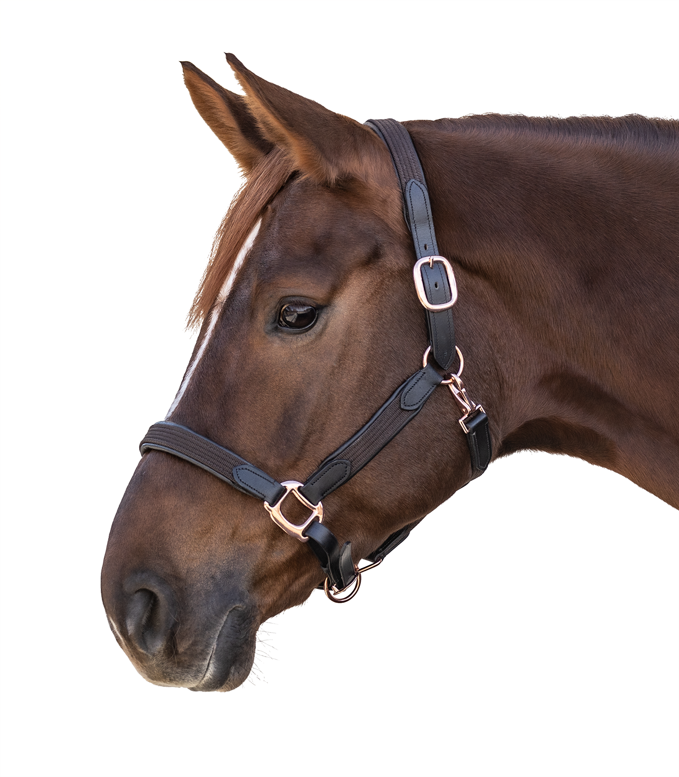 STAR MIX halter | brown/rose gold | PON | 50436330-PON