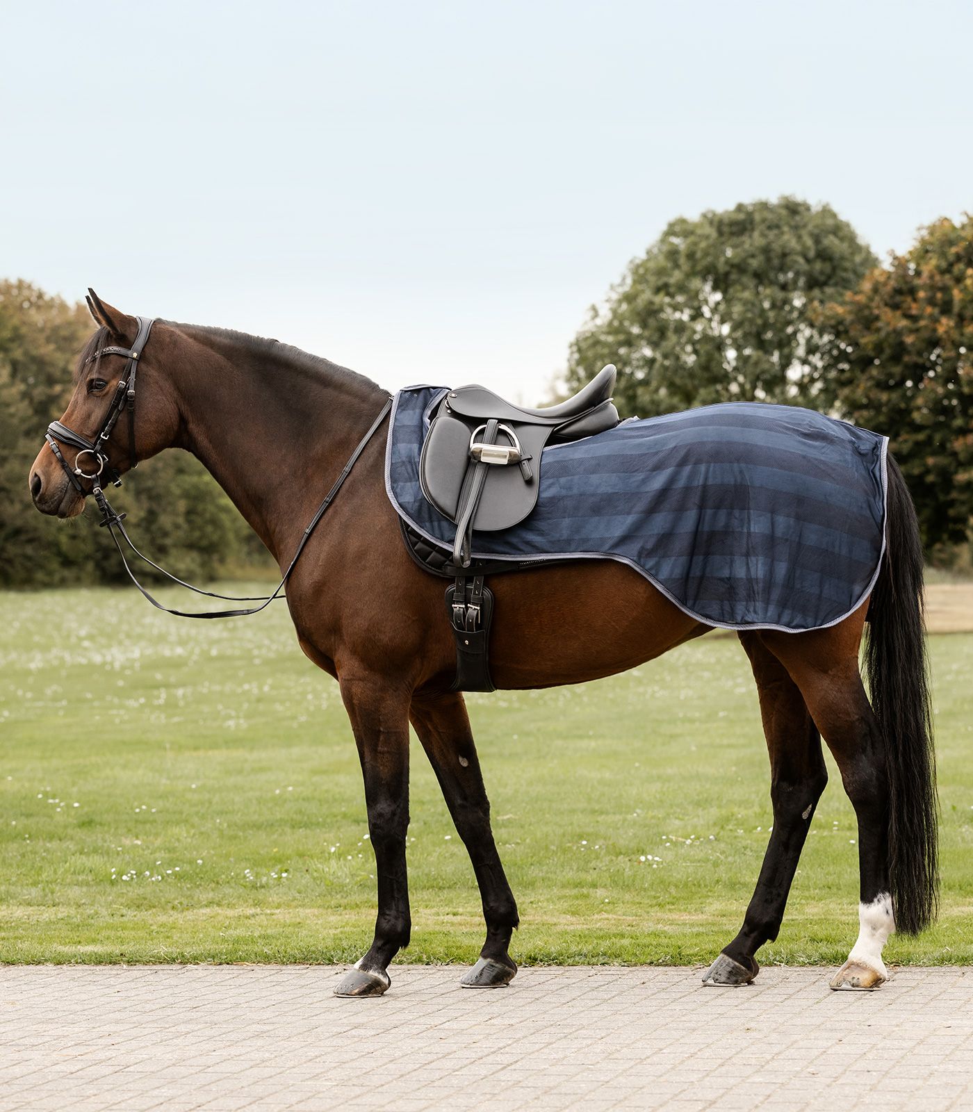 Economic Fly exercise sheet | silver grey | Cob | 6332220-VB