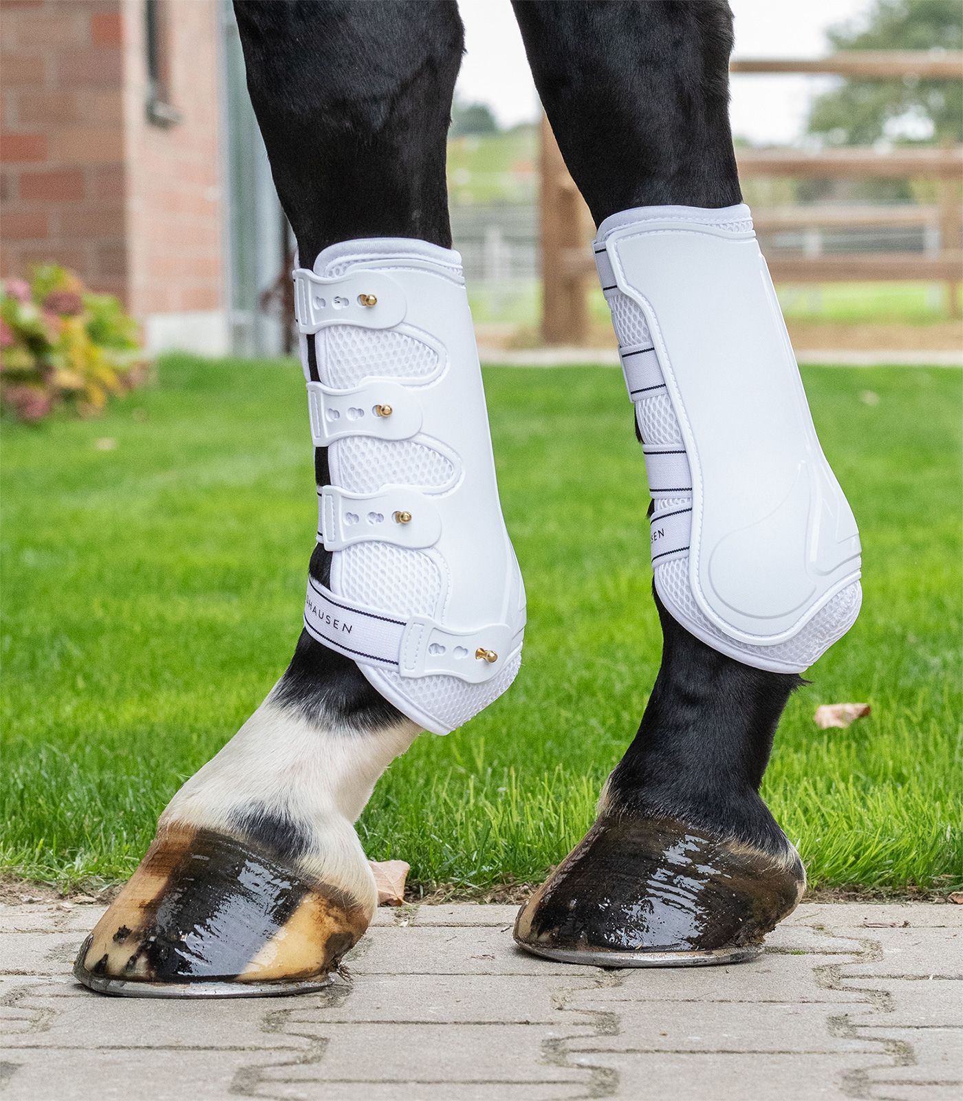 Breath tendon boots | white | Cob | 3855902-VB