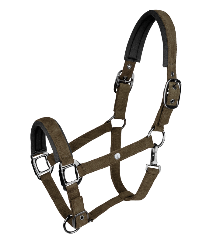 Riding Apparel & Horse Equipment by Waldhausen