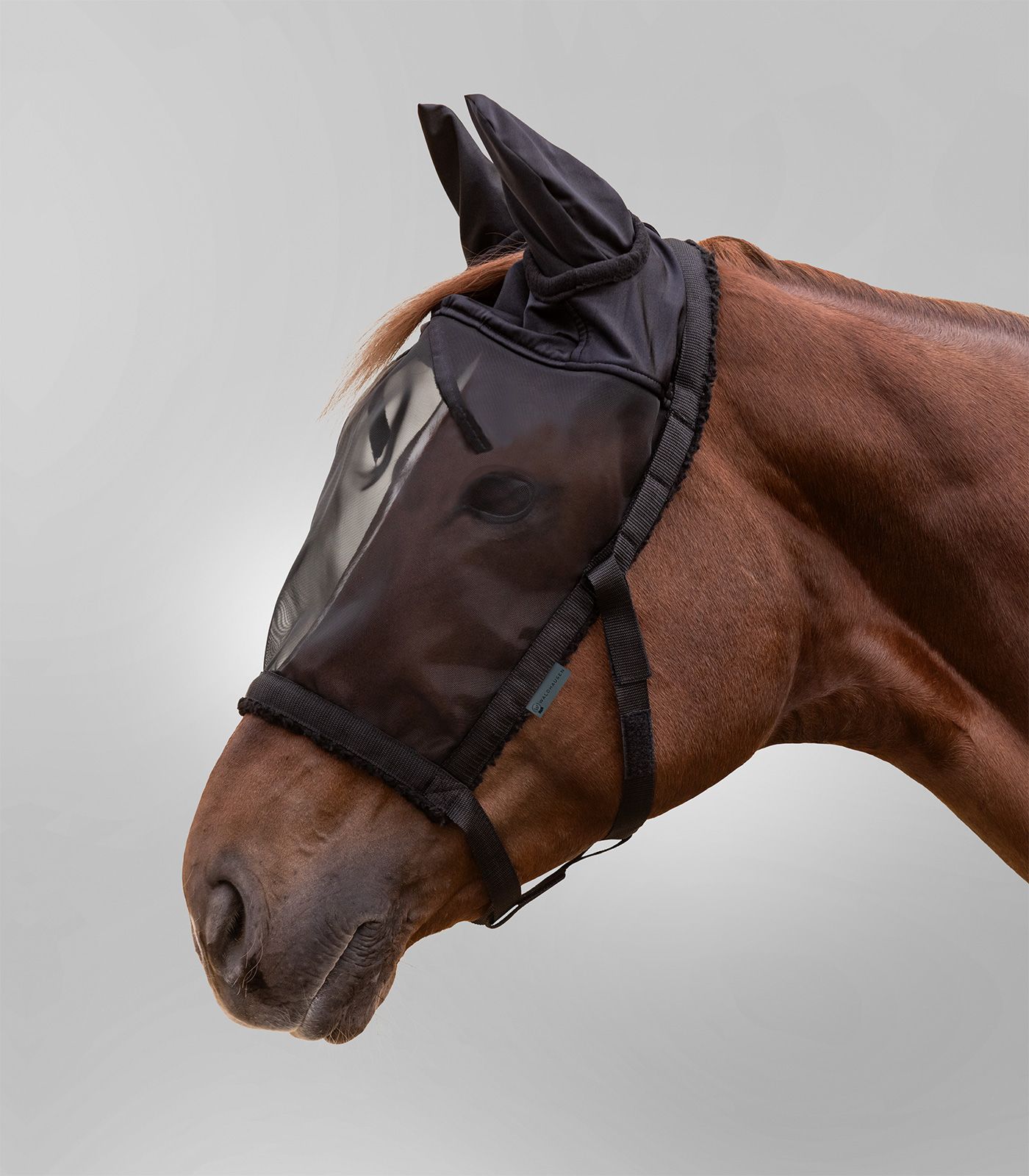 Pasture halter with fly mask | silver grey | PON | 63147411-PON